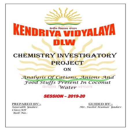 Chemistry Investigatory Project Class 11 & 12 | PDF
