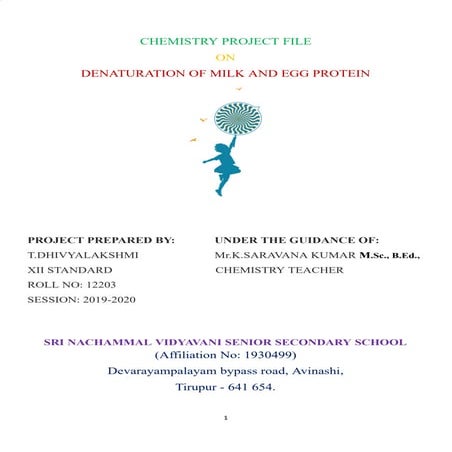 Chemistry project -12TH STD CBSE | PDF