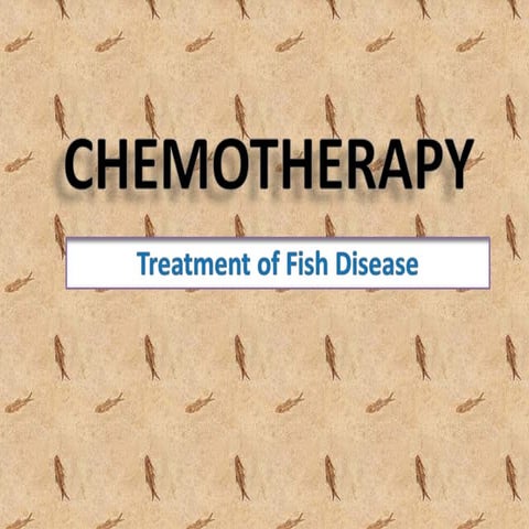 Chemotherapy | PPT | Diseases and Conditions | Medical Health