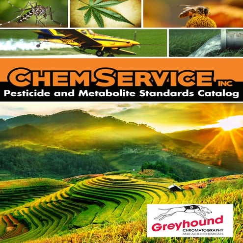 Chematic Formulated Detergents | PPTX