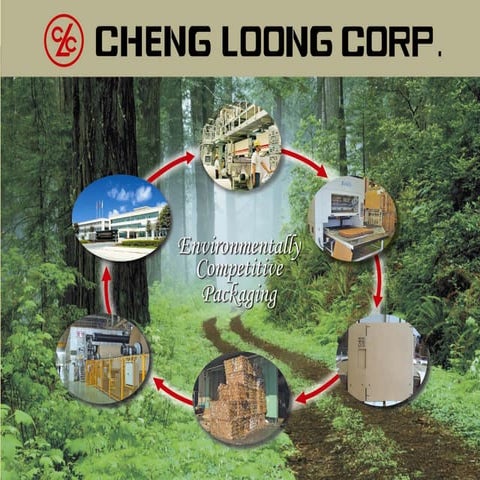 Cheng Loong Corp It | PDF | Business | Business and Finance