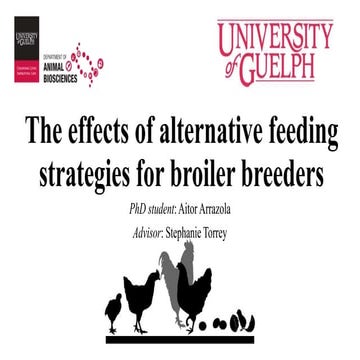 The effect of alternative feeding strategies for broiler breeders ...