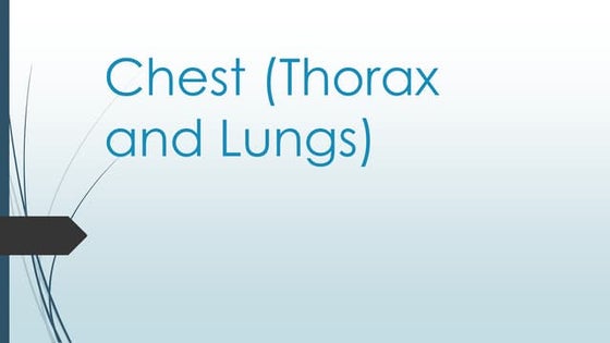 Assessment of the thorax and lungs 5 | PPT
