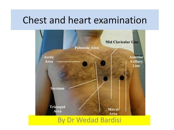 Cardiovascular examination | PPT