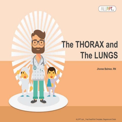Chest and thorax assessment | PPTX