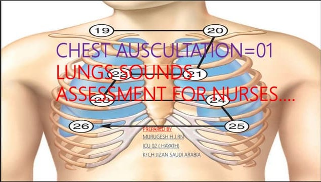 Lung Sound Assessment