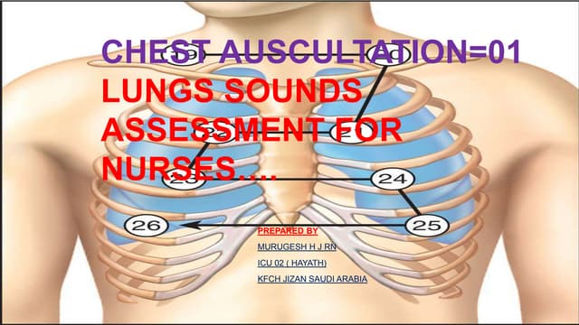 Auscultation | PPTX