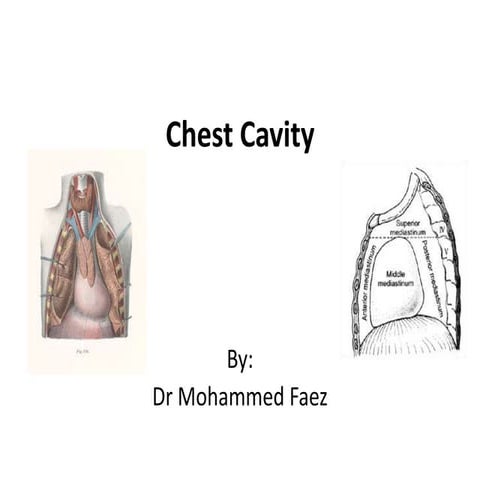 Chest Cavity | PPTX