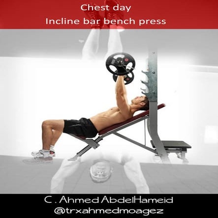 Chest day | PDF