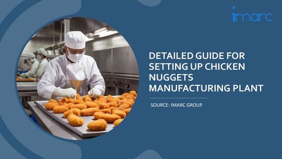 Noodles Manufacturing Plant Project Report.pptx | Business ...
