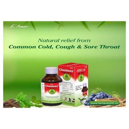 Chesteez cough syrup | PDF | Lung and Respiratory Health | Diseases and ...