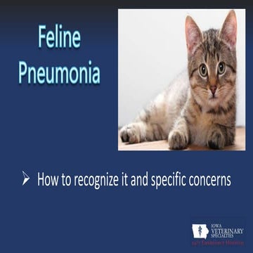 Feline Pneumonia | PPTX