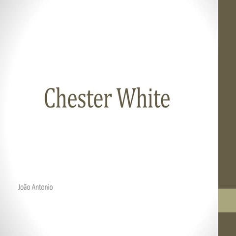Raça suina Chester white | PPTX