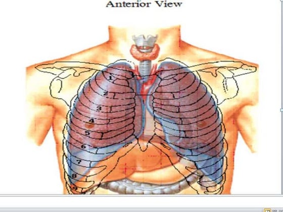02. TENSION PNEUMUYHVHGGGGFOTOTHORAX.pptxJHJHGJHG | PPT