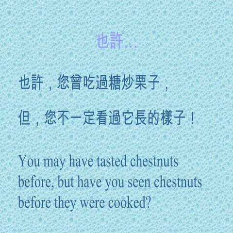 Chestnut | PPT