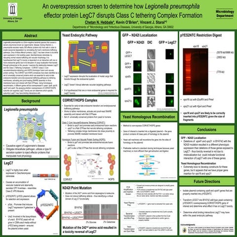 An overexpression screen to determine how Legionella pneumophila ...
