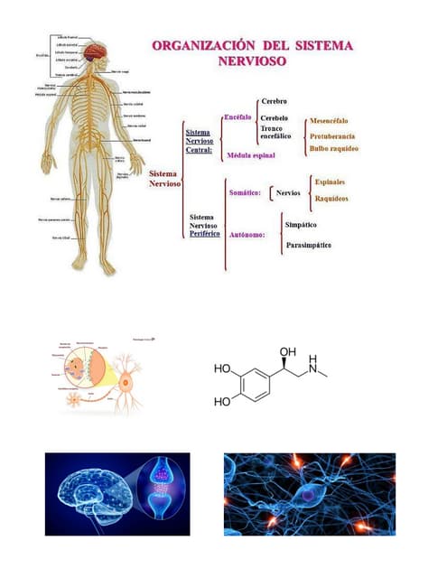 04_getting-help_help.pdf