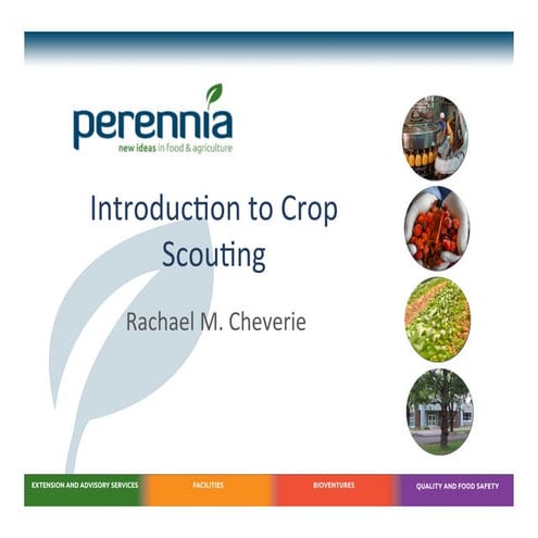 Crop Scouting for Organic Agriculture | PDF | Agriculture | Industries
