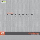 Chevron_Brochure_Final_Digital_DPS.pdf
