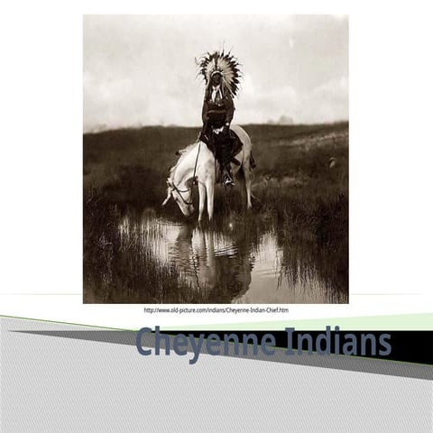 This is a powerpoint about Cheynne indian tribe.pptx