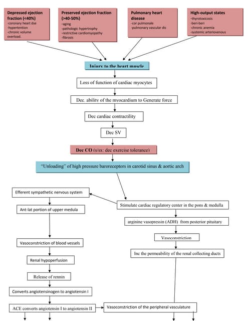 congestive heart failure pathophysiology | PDF