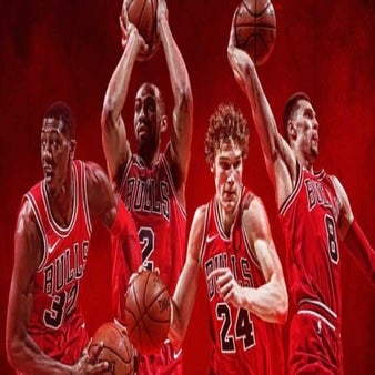 Chicago Bulls | PDF