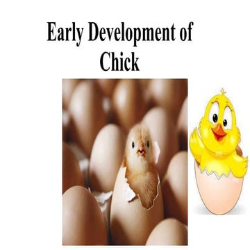 Development of chick embryo- structure of egg,cleavages,fate map and ...
