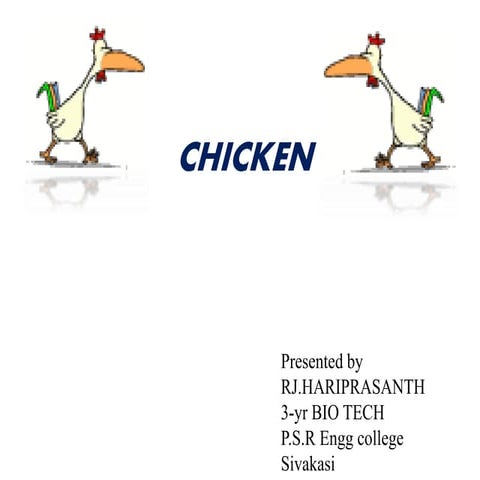 Chicken | PPTX