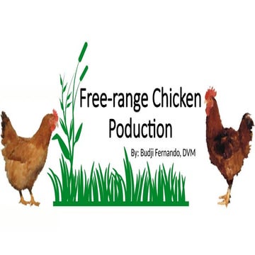 Free-range chicken Production chicken-housing.pptx