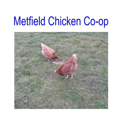 Metfield Chicken Coop Part 1 | PPT