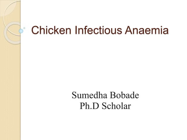 IBH in Poultry Dr. KHM | PPTX