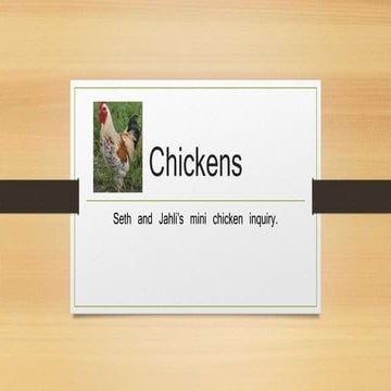 Chickens | PPTX | Birds | Pets
