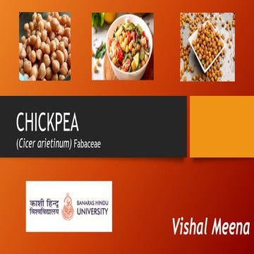 CHICKPEA.pptx