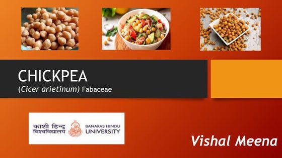 Maize ppt | PPTX | Agriculture | Industries