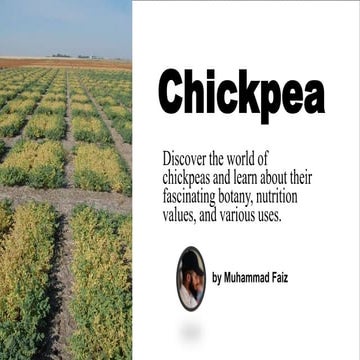 Chickpea..pptx