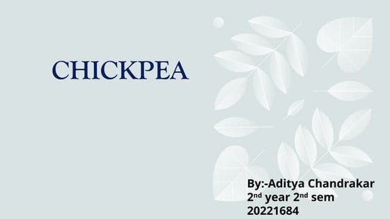 3. chickpea ppt 1 | PPTX | Agriculture | Industries