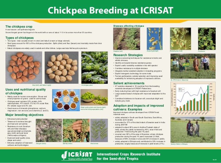 Chickpea breeding at ICRISAT