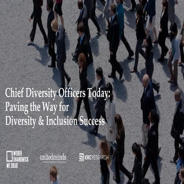 Chief Diversity Officers Today: Paving the Way for Diversity ...
