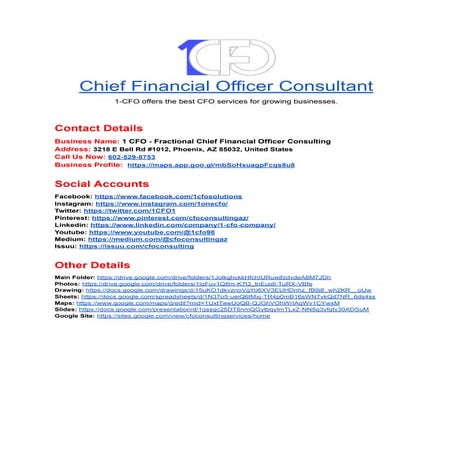 Chief Financial Officer Consultant for your company | PDF