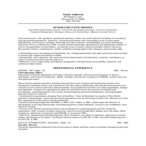 Chief operating officer CV template | PDF