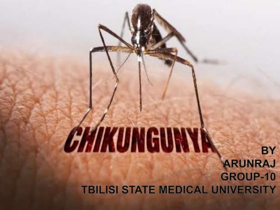 Chikungunya | PPT