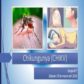 Chikungunya | PPT