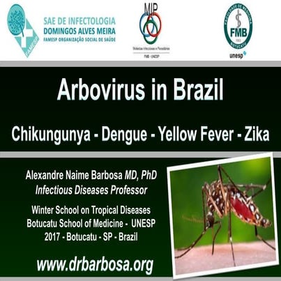 Arbovirus in Brazil - Chikungunya, Dengue, Yellow Fever, Zika 2017 | PPTX