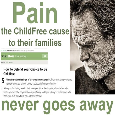 Childfree me not principles: The pain that the ChildFree cause to their ...