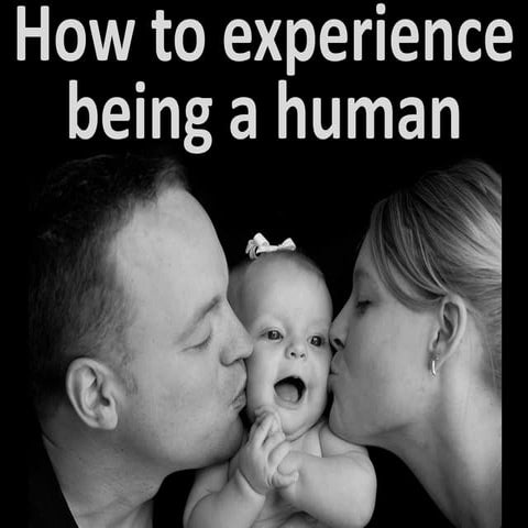 The Human Experience | PDF