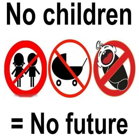 Pro-natalist values: No children = No future | PDF