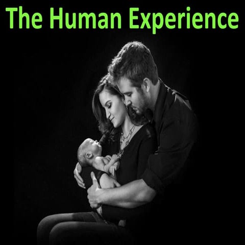 The Human Experience | PDF