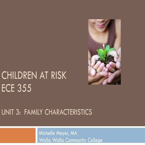 Children at Risk: Unit 3 | PPT