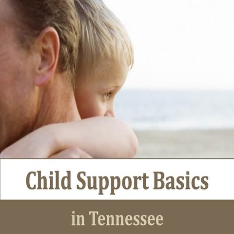 Child Support Basics in Tennessee | PDF