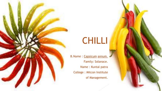 Different types of red chilli powder ind | PPT